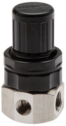 Brass and Stainless Steel Pressure Regulators for Gases and Liquids ...