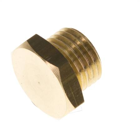 G 1/4'' Brass Closing plug with Outer Hex 16 Bar [5 Pieces] | Tameson.com