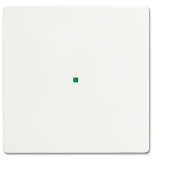 ABB Busch-Jaeger Busch-FreeAtHome Control Element/Central Plate Switch ...