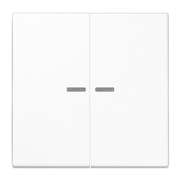 Jung LS RANGE Control Element/Central Plate Switchgear - LS995KO5WW ...