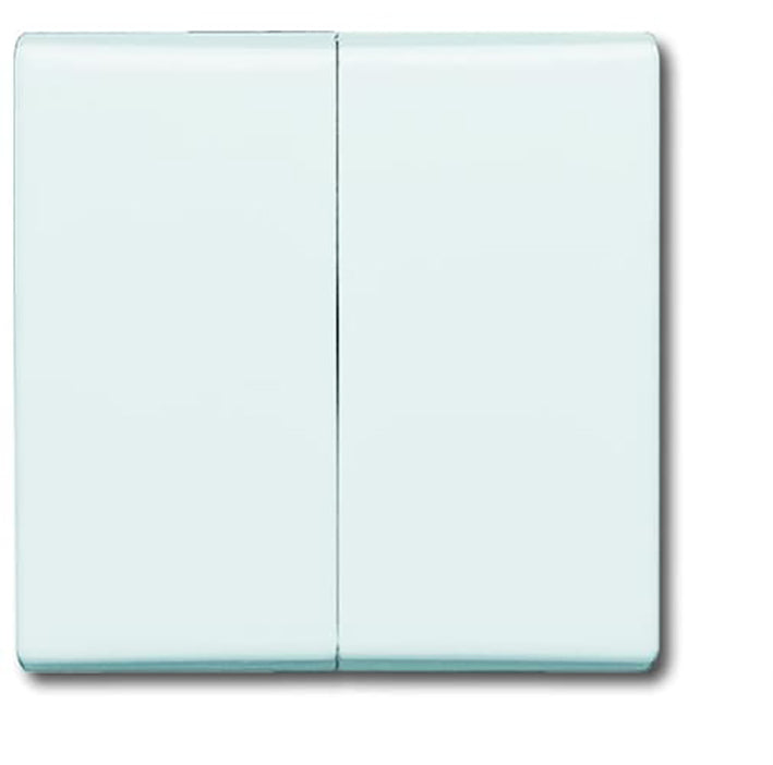 ABB Busch-Jaeger All-weather IP44 Control Element/Central Plate ...