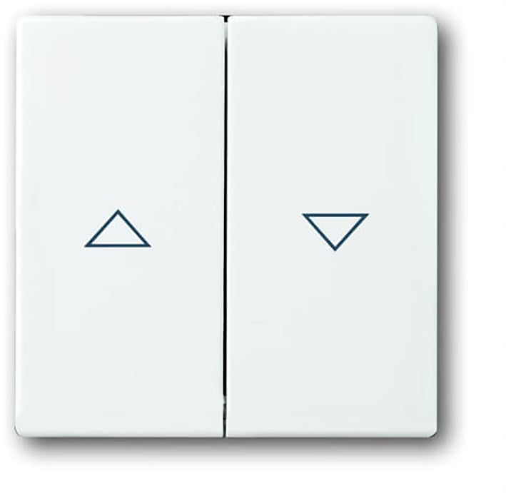 ABB Busch-Jaeger Future/Solo Control Element/Central Plate Switchgear ...