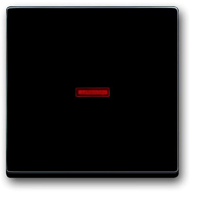 ABB Busch-Jaeger Future Control Element/Central Plate Switchgear ...