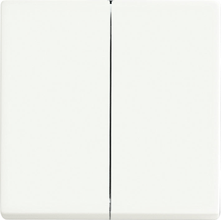 ABB Busch-Jaeger Control Element/Central Plate Switchgear - 2CKA006730 ...