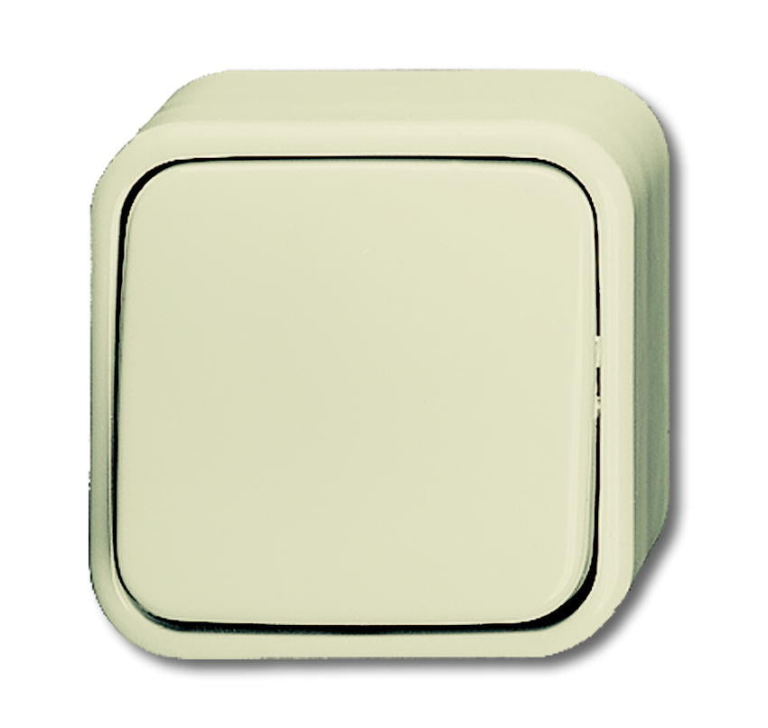 ABB Busch-Jaeger Surface-Mounted Standard Installation Switch - 2CKA00 ...