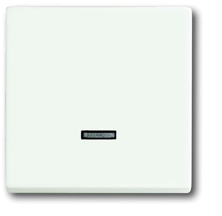 ABB Busch-Jaeger Future Control Element/Central Plate Switchgear - 2CK ...