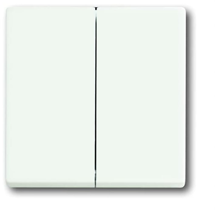 ABB Busch-Jaeger Future Control Element/Central Plate Switchgear - 2CK | Tameson.com