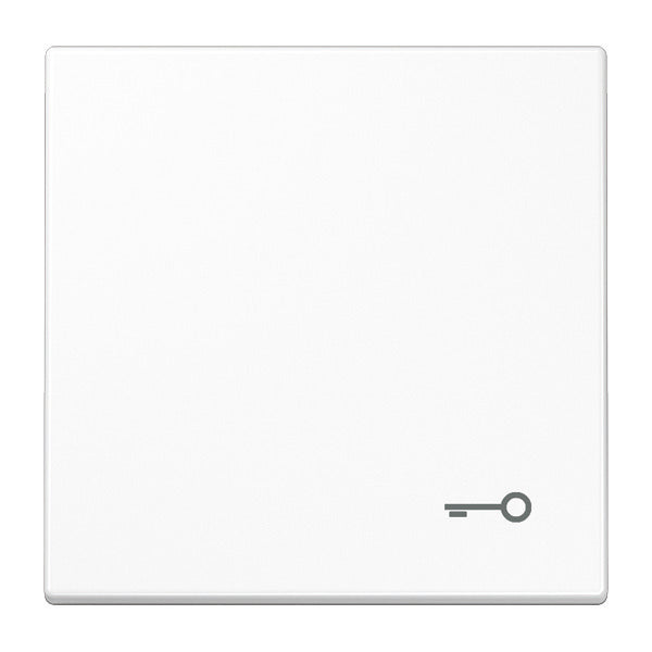 Jung LS990 Control Element/Central Plate Switchgear - LS990TWW ...