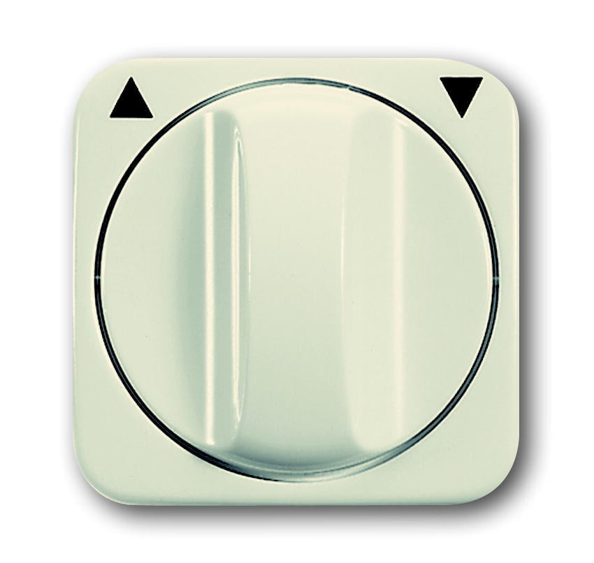 ABB Busch-Jaeger SI Control Element/Central Plate Switchgear ...