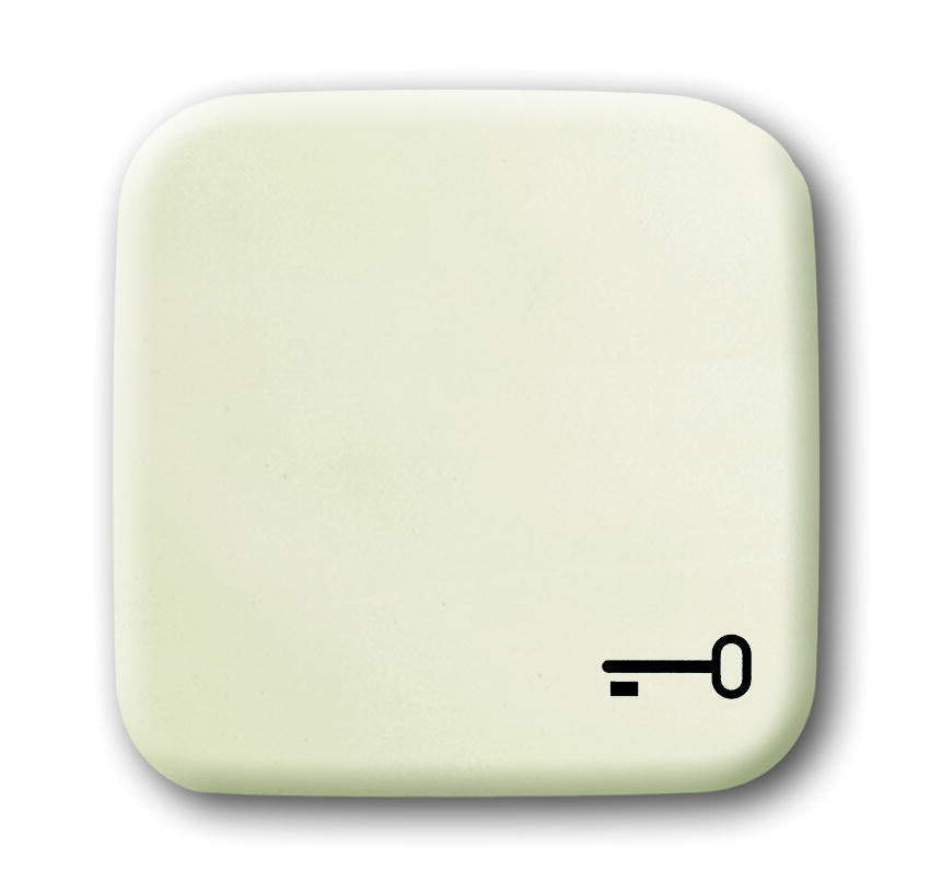 ABB Busch-Jaeger SI Control Element/Central Plate Switchgear - 2CKA001 ...