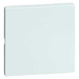 Honeywell Peha DIALOG Control Element/Central Plate Switchgear ...