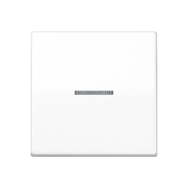 Jung AS500 Control Element/Central Plate Switchgear - AS591KO5WW ...