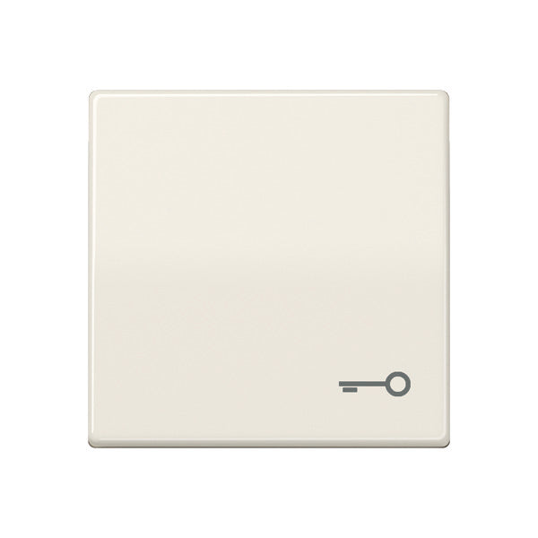 Jung AS500 Control Element/Central Plate Switchgear - AS591T | Tameson.com