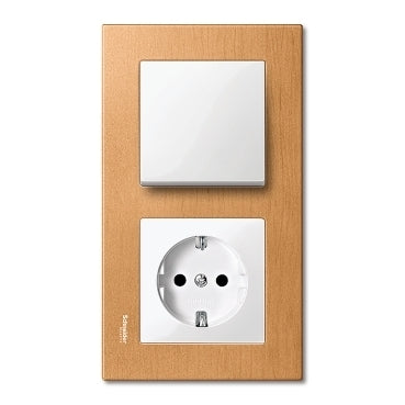 Schneider Electric Merten System M Control Element/Central Plate Switc ...