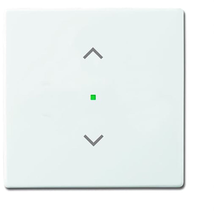 ABB Busch-Jaeger Busch-FreeAtHome Control Element/Central Plate ...