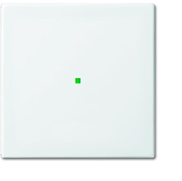 ABB Busch-Jaeger Busch-FreeAtHome Control Element/Central Plate Switch ...