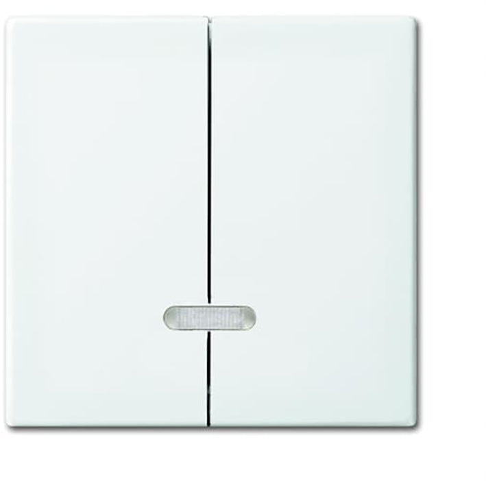 ABB Busch-Jaeger Control Element/Central Plate Switchgear ...