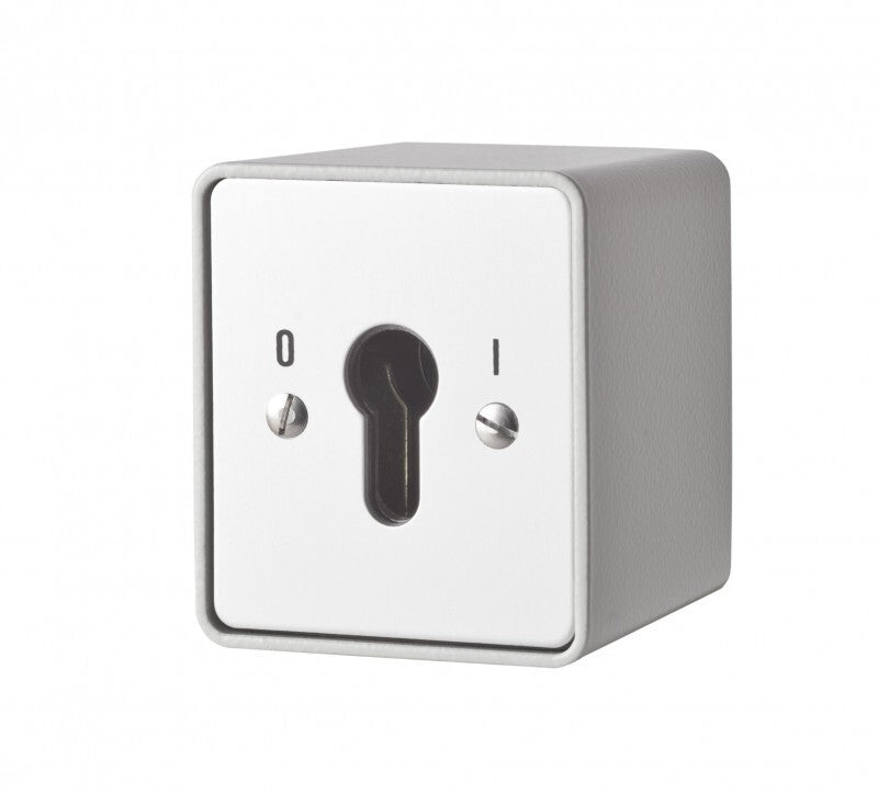 MaaslAnd Door Clutch Switch - APB1-1R | Tameson.com