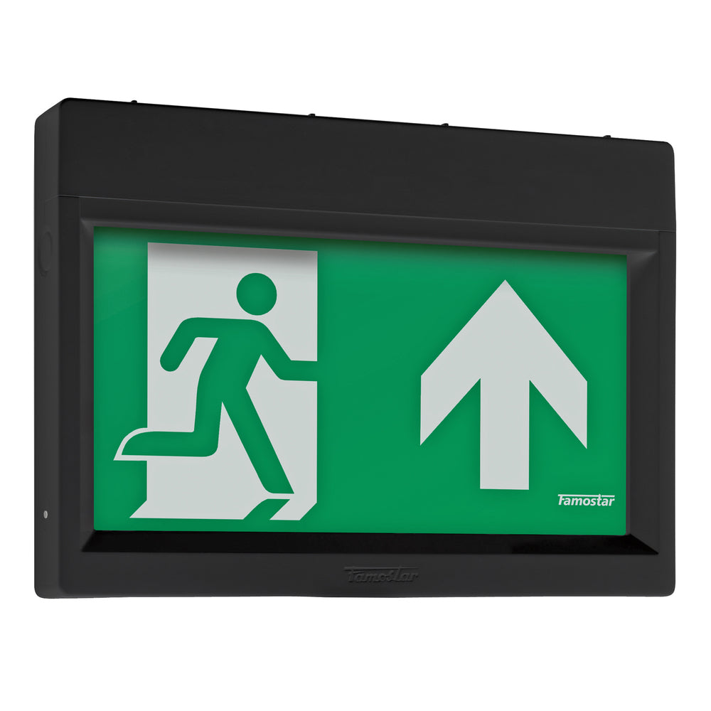 Famostar Go! Emergency Lighting Fixture - 393232 | Tameson.com