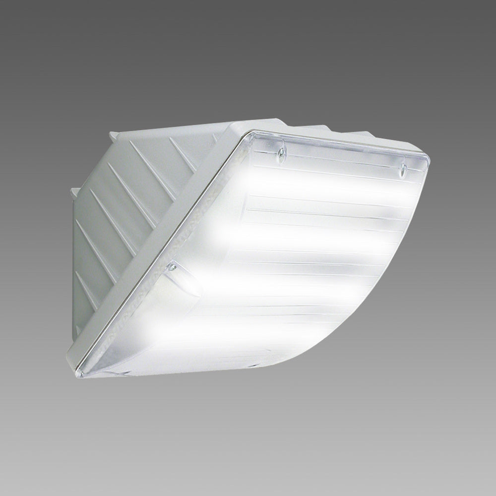 Disano Vega LED IP65 Wall Light 20W 4000K Grey - 42066600 | Tameson.com