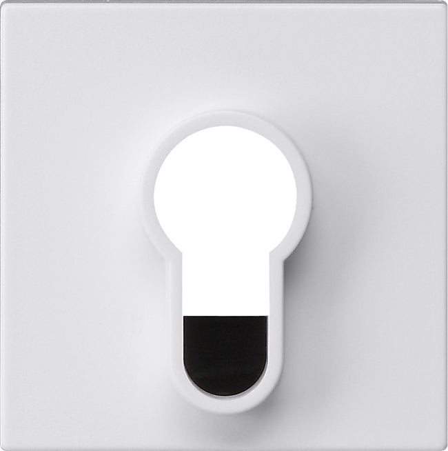 Gira System 55 Key Switch And Button Cover Unprinted Pure White ...