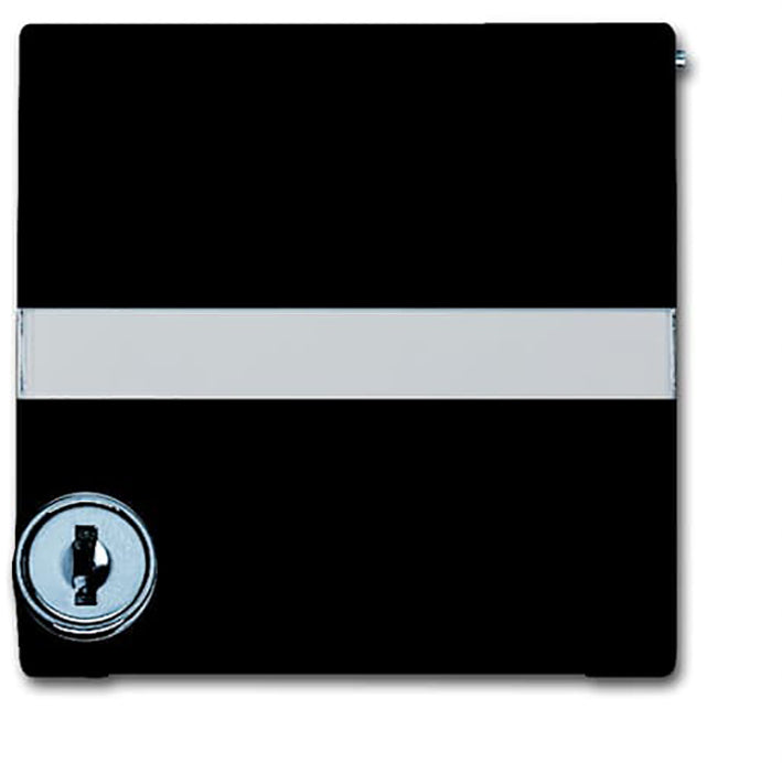 ABB Busch-Jaeger Adapter With Text And Lock Slot IP44 - 2CKA001710A3790 ...