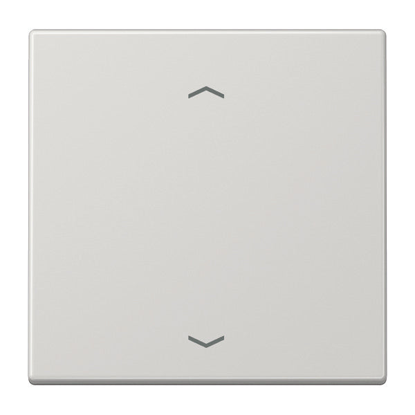 Jung EnOcean Wireless Wall Transmitter With Symbols - ENOLS990PLG ...