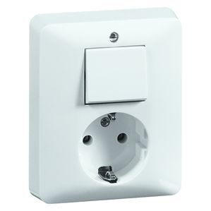 Peha Standard Combination Switch and Socket with Earth Wire - 00239721 ...