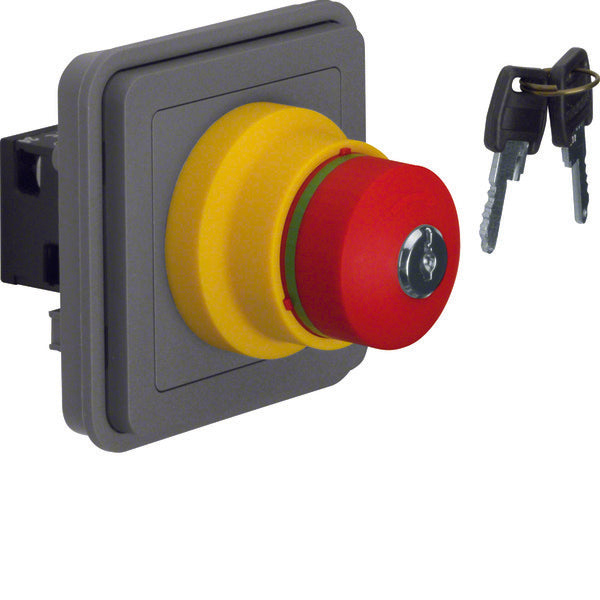 Emergency Push Button Switch With Key Lock - 44713515 | Tameson.com
