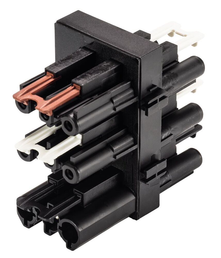 Wieland Distributor Switch Module 3P 20A 1:5 - 92.030.0053.1 | Tameson.com