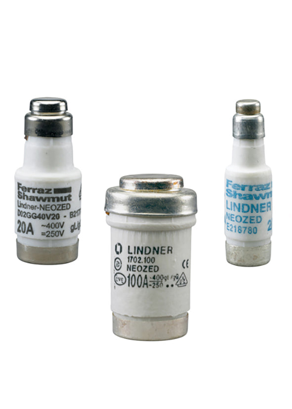 D02 Neozed GG Fuse 25A 400VAC 250VDC - W213160 [10 Pieces] | Tameson.com