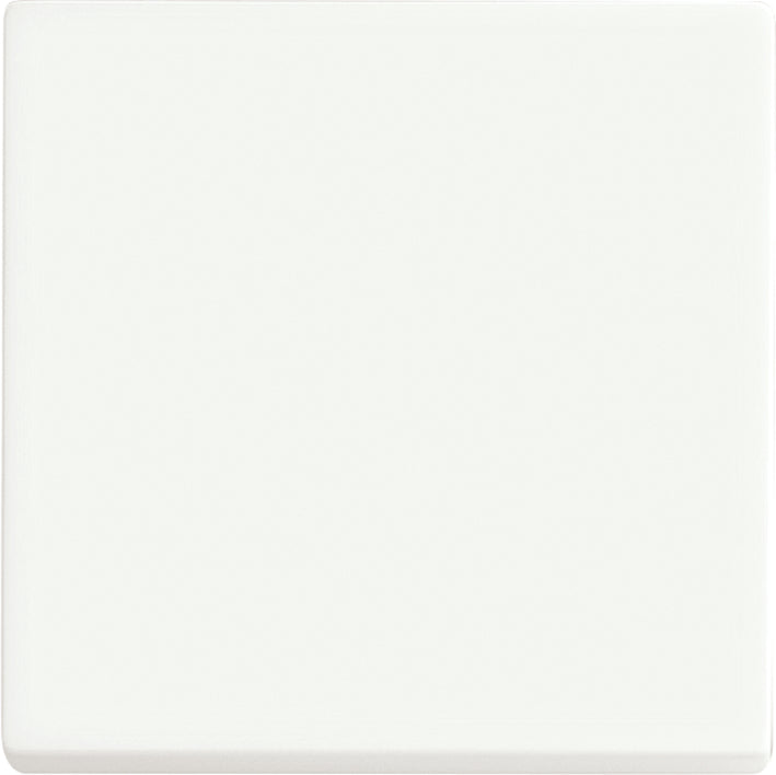 ABB Future Linear Smart Switch Control Panel Matt White - 2CKA006730A0 ...