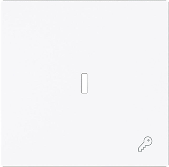 ABB Busch Single Rocker Switch With Key Symbol And Lens - 2CKA001751A3 ...