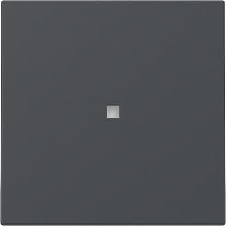 Gira System 55 Anthracite Rocker Switch With Control Window - 329028 [ | Tameson.com